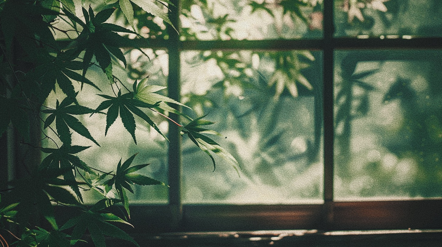 Where to Buy High-Quality Houseplants & Greenery in Japan
